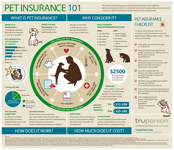 Pet Insurance | Lowell Road Veterinary Center
